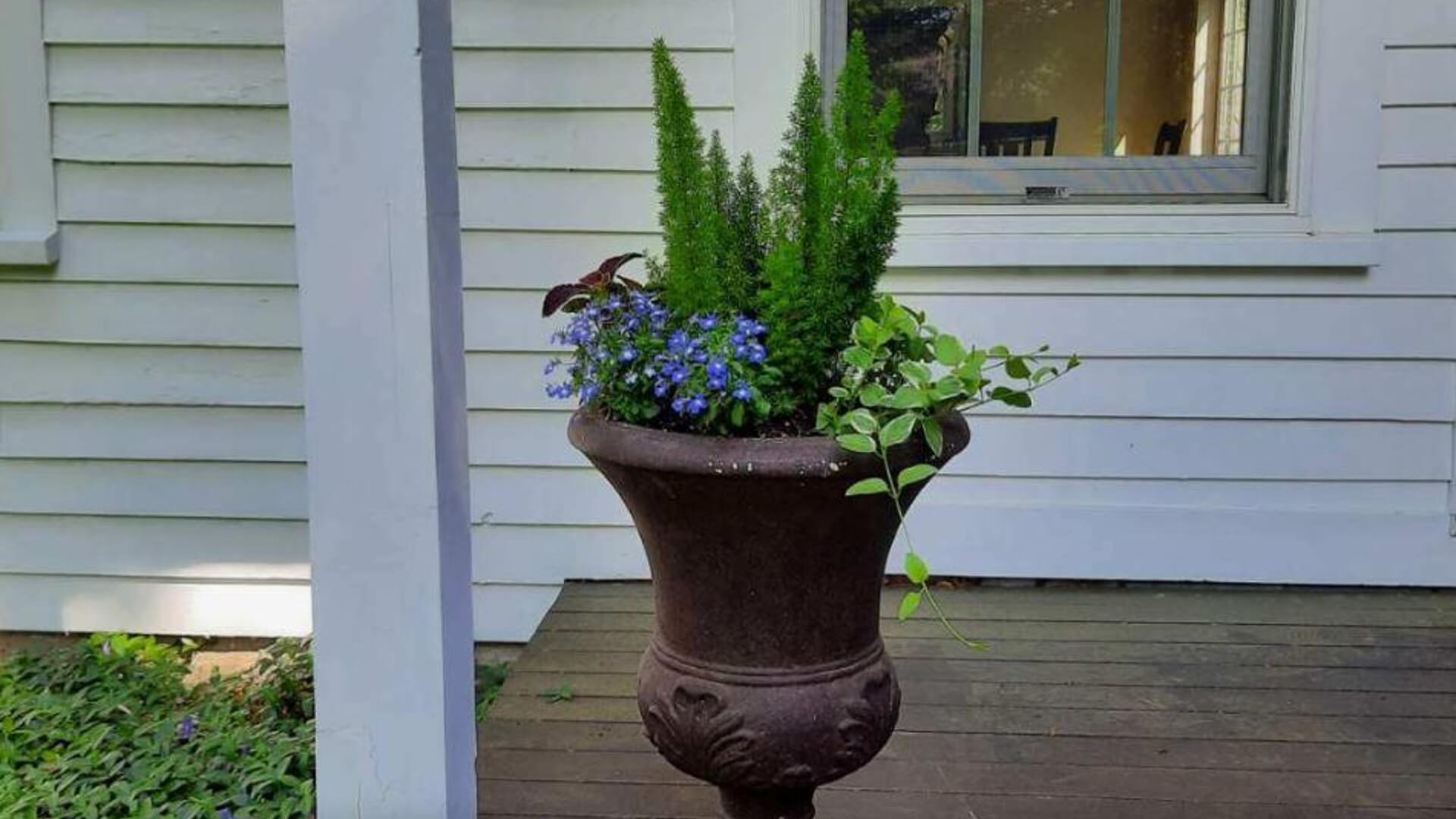 4 Reasons Container Plantings will enhance Your Landscape Design and ...