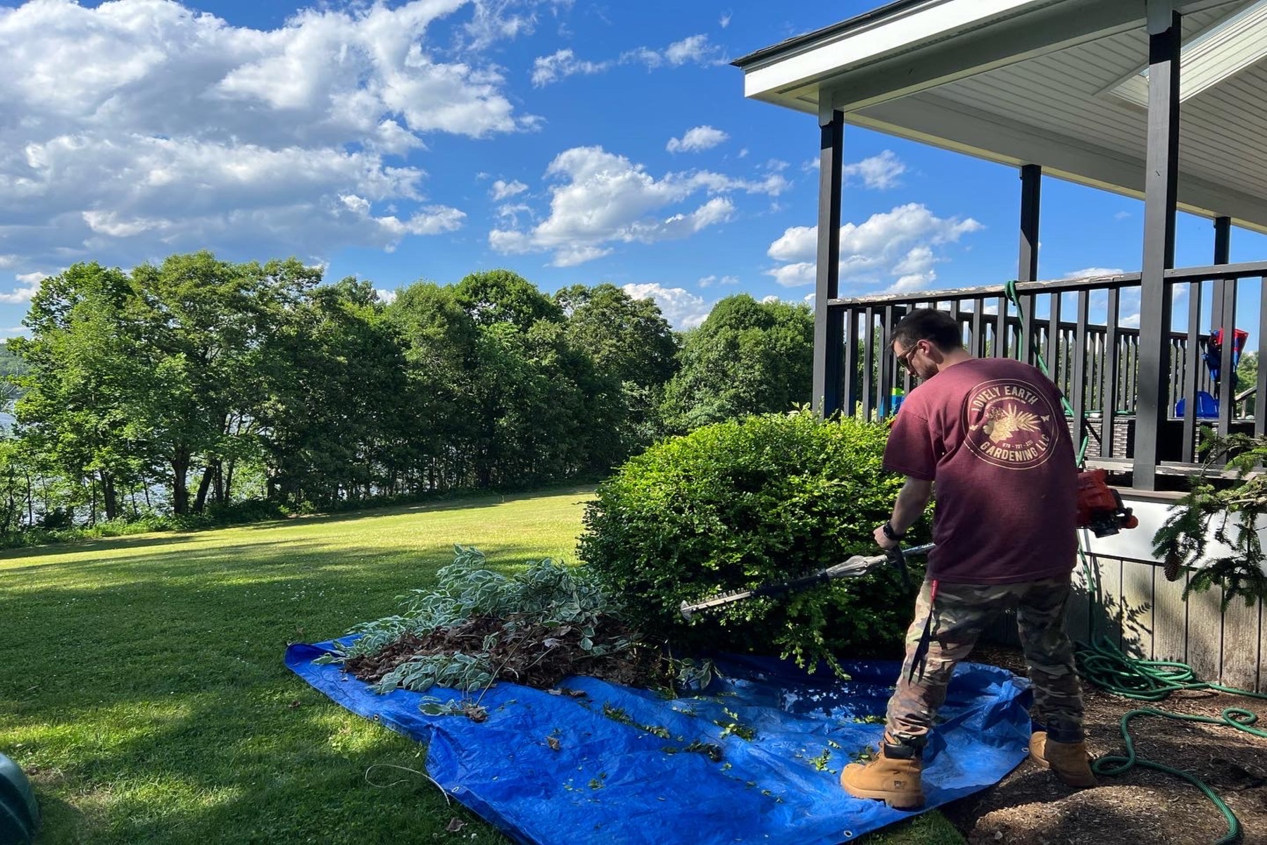 Pruning Shrubs In Massachusetts: What You Need to Know – Landscaping ...